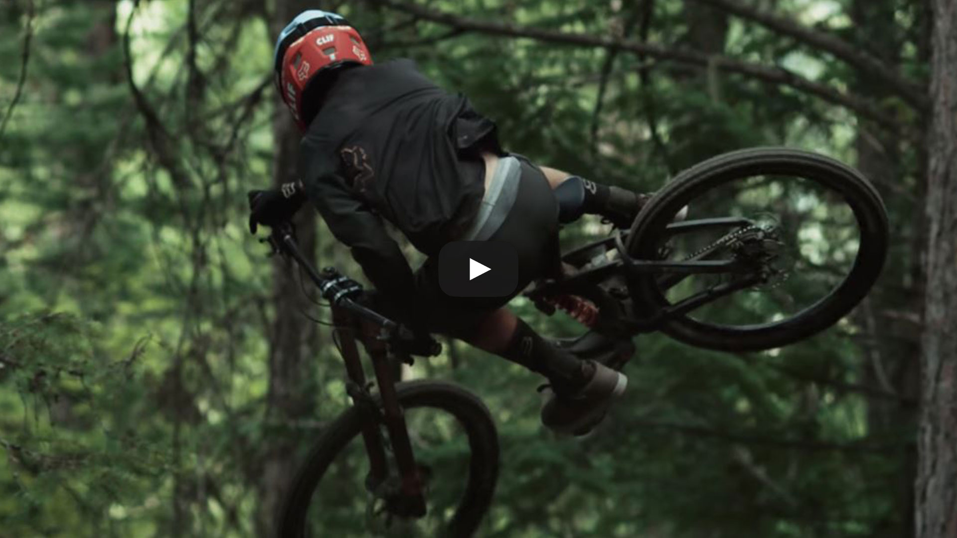 Trek C3 Project Summer Video Remix | Freehub Magazine