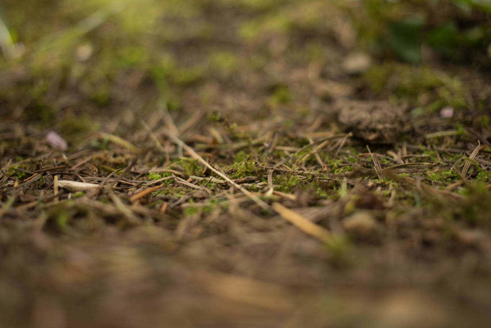 As Good As Dirt // A call to Arms for Mountain Bikers Everywhere ...