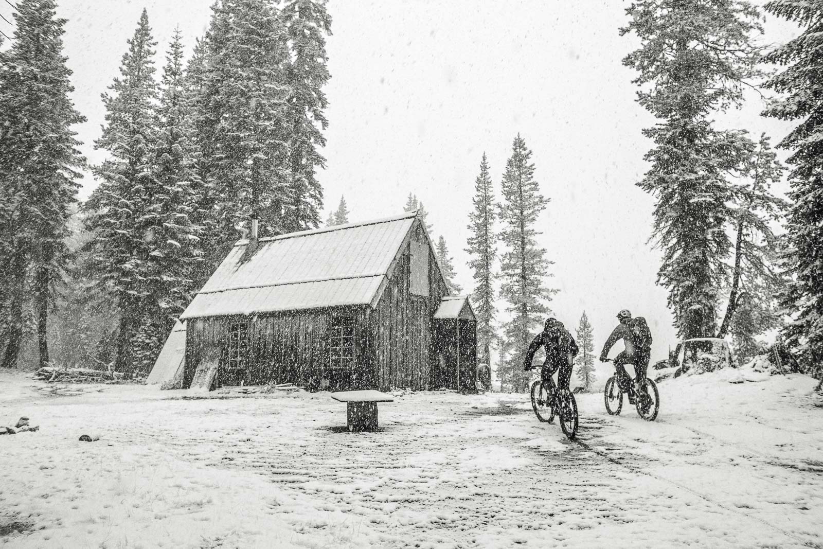 Ghost Trails // Reclamation and Revival in Northern California Freehub ...