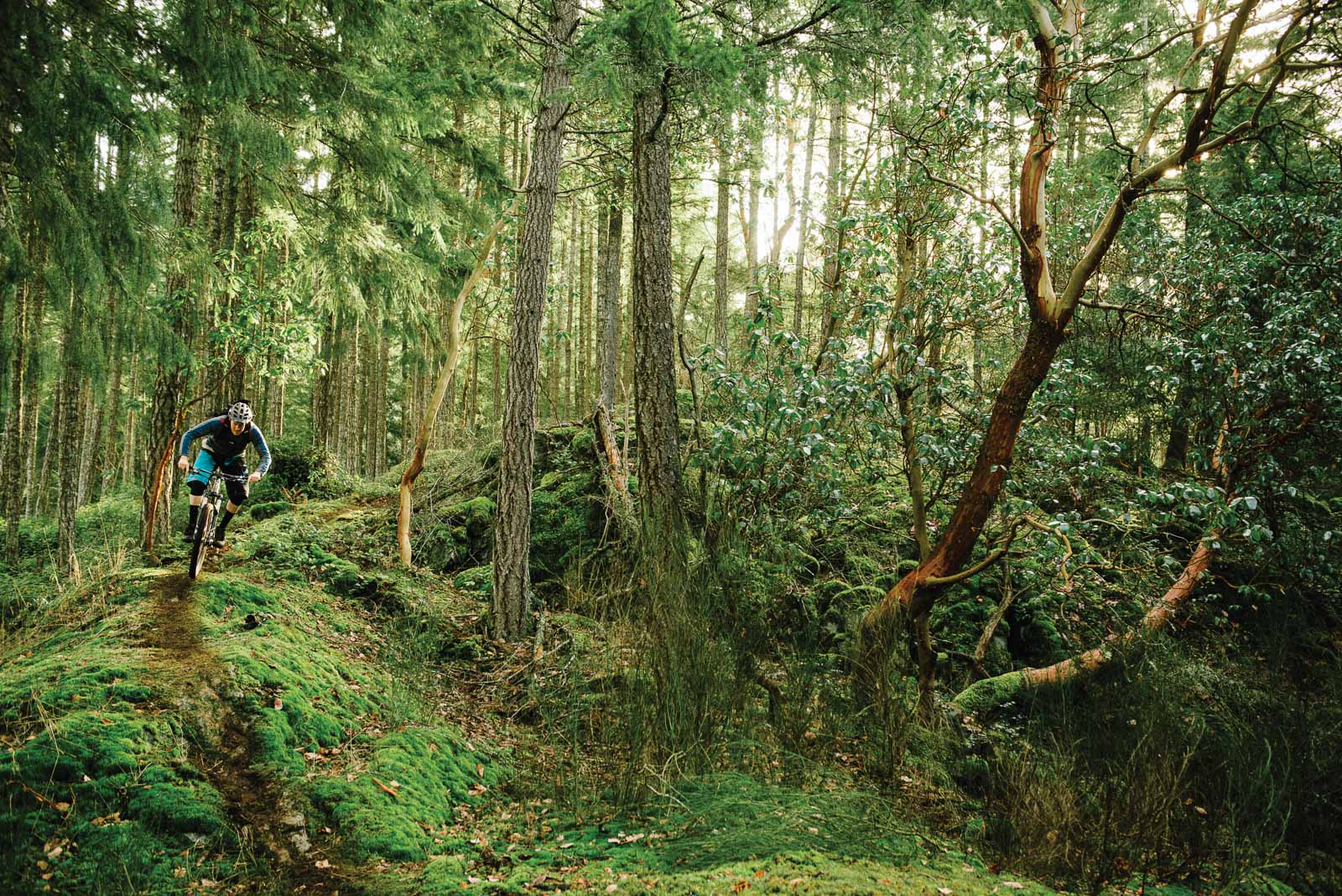 Vancouver Island's Maple Mountain gets its First Singletrack ...