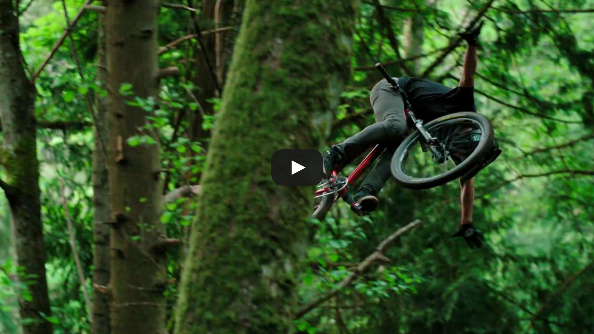 Two Years Behind the Lens No Bad Days | Freehub Magazine