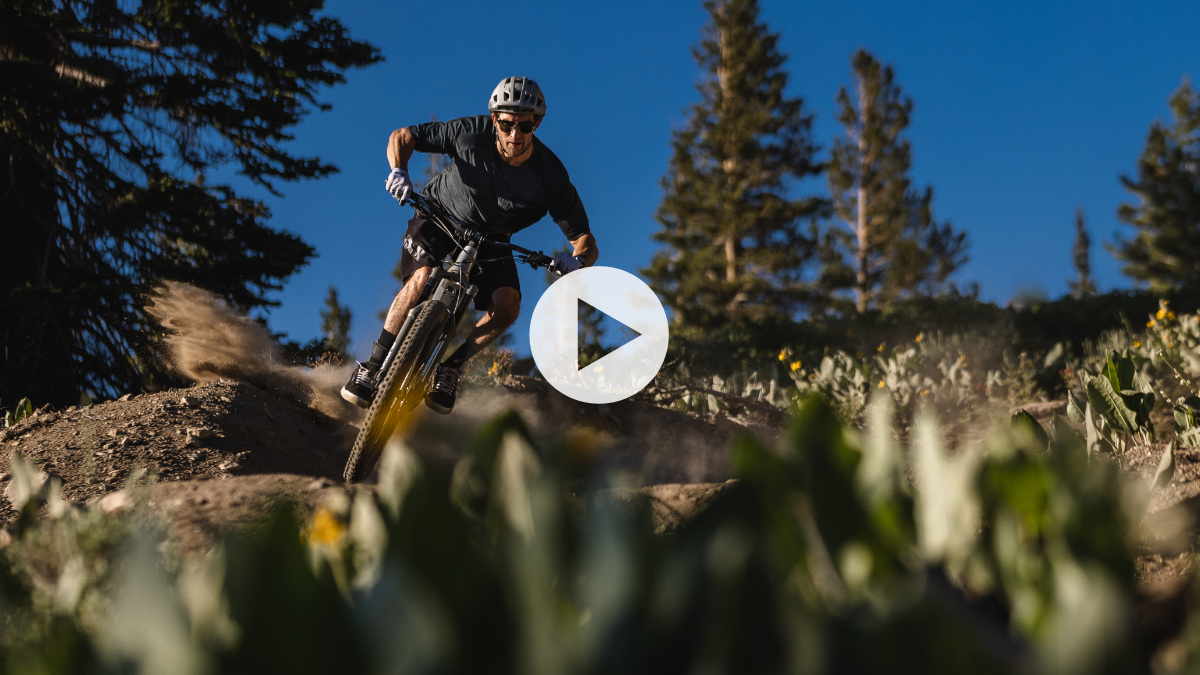 The Bass Way Ride Every Day | Freehub Magazine